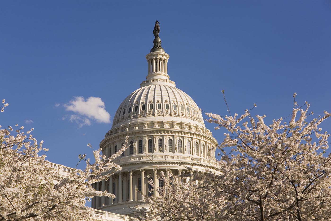 What to Expect at 2024 Legislative Conference