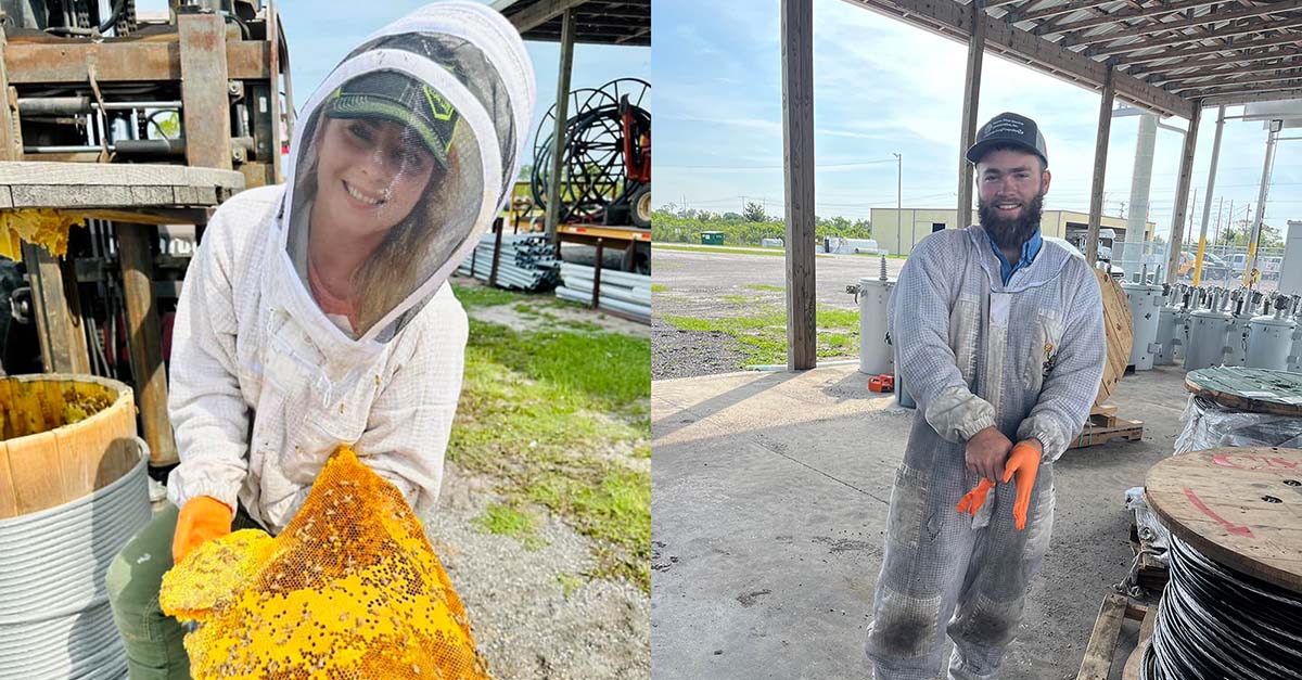 Co-op Safely Removes Bees From Storage Yard With Expert Help