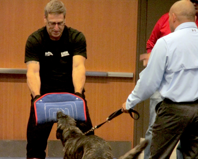 How Utility Workers Should React When Dogs Attack