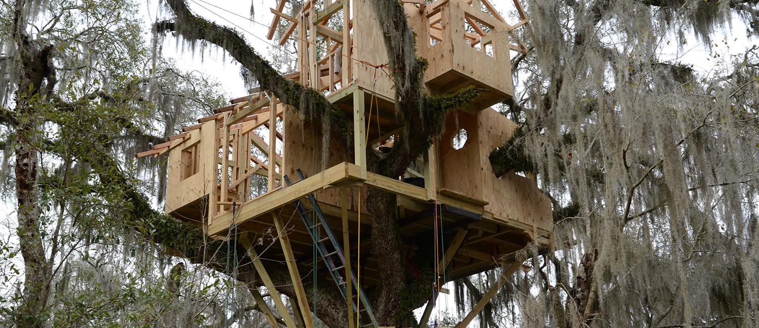 Co-op Branches Out for Suwannee Treehouse