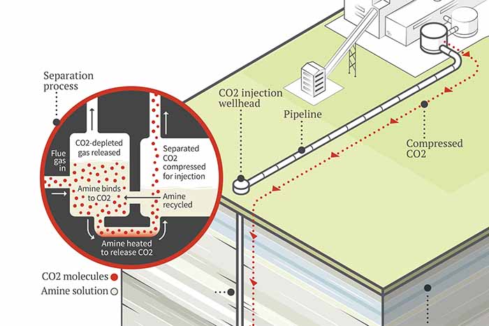Infographic: How CCS Works