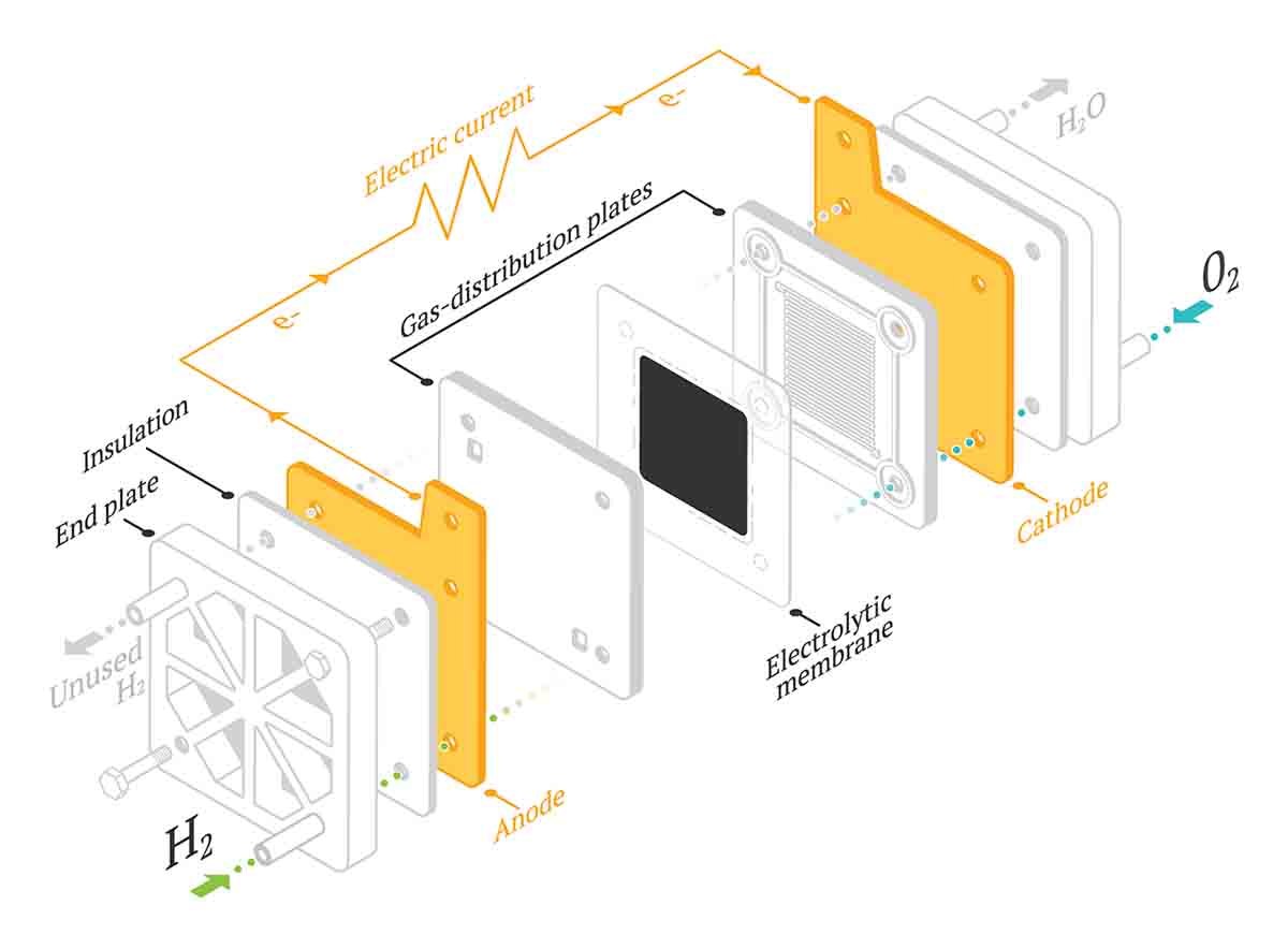 Infographic: Hydrogen Fuel Cells