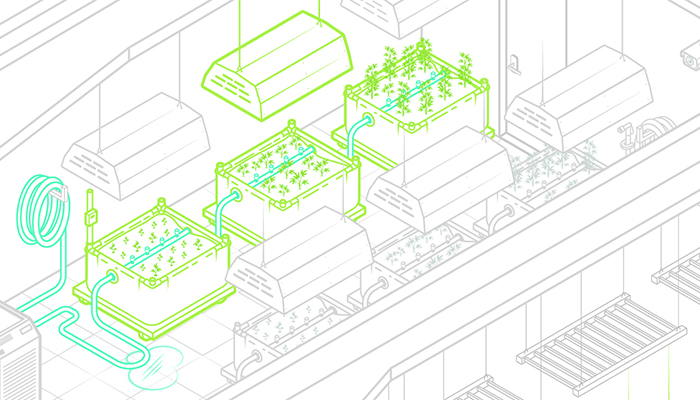 Infographic: How Grow Houses Work