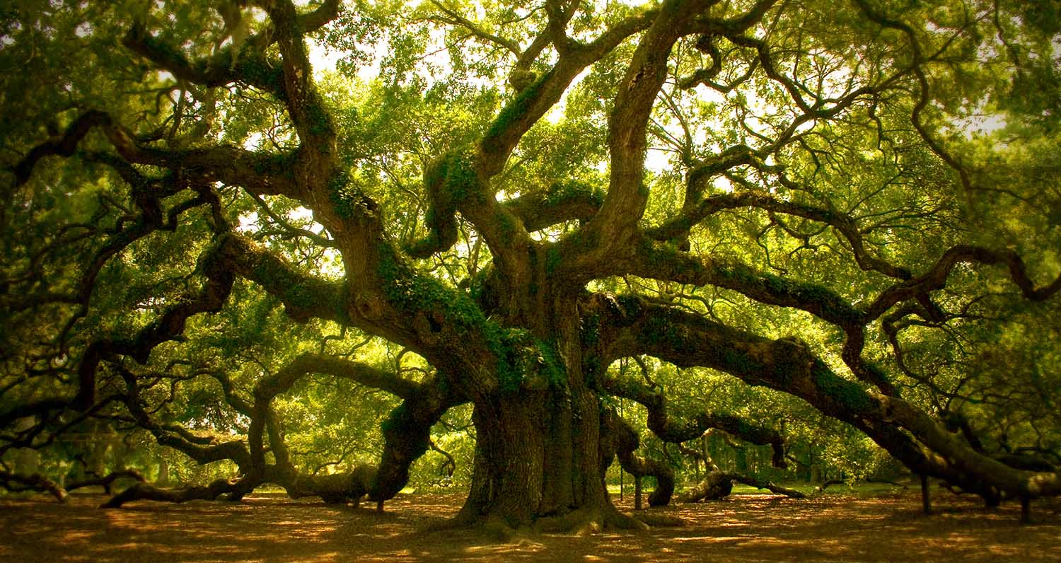 Then & Now: 'Get Off Our Island'