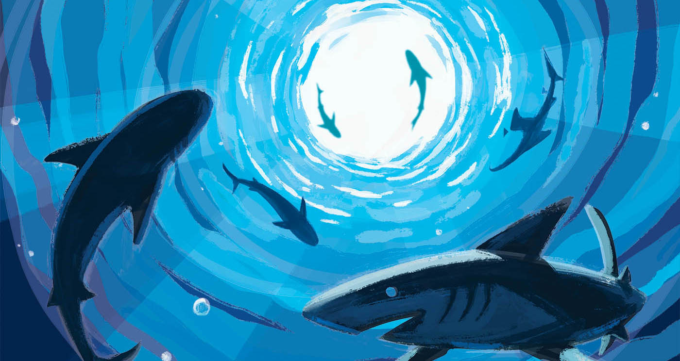 ‘Circling Like Sharks’: Co-ops Face New Risks With Broader Mitigation ...