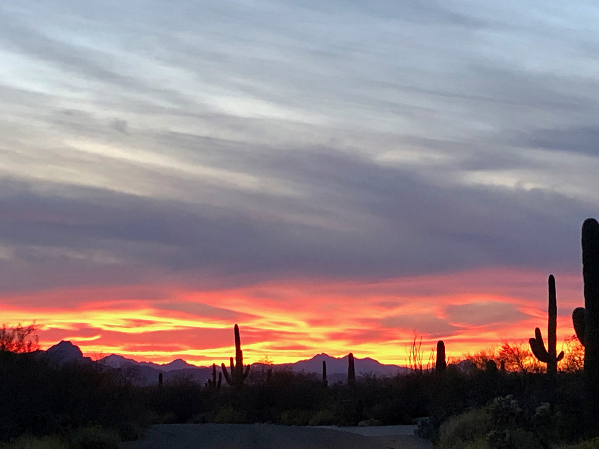 Then & Now: The Co-op Oracle of Oracle, Arizona